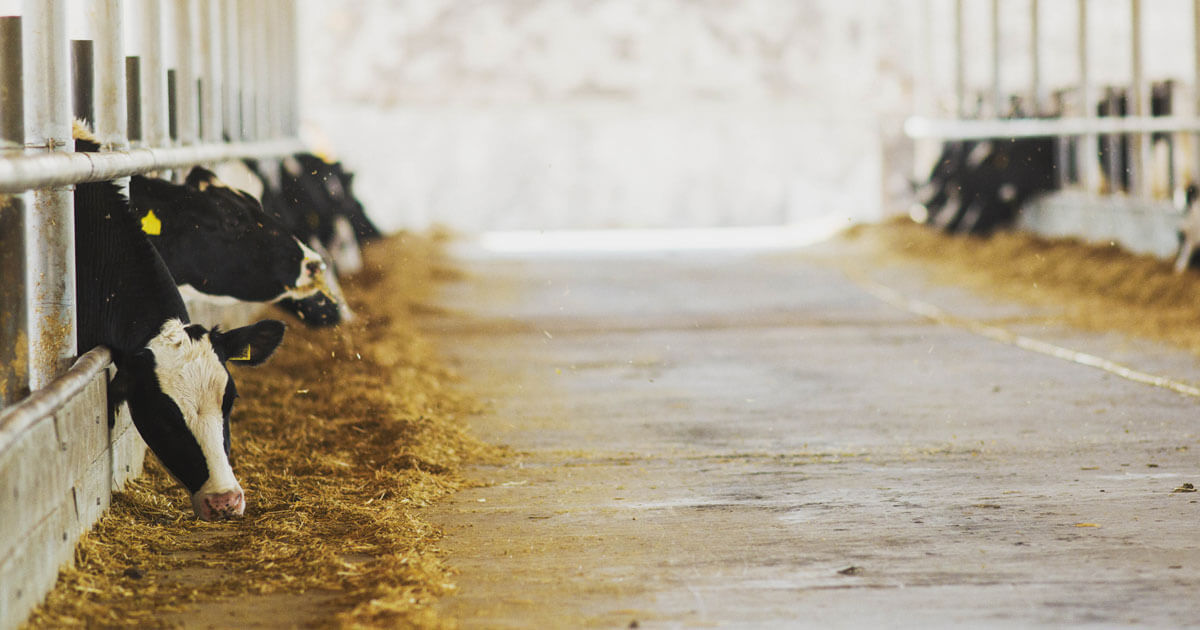 VT1150 Premium Vertical Feed Mixer - Vermeer Feed Mixers